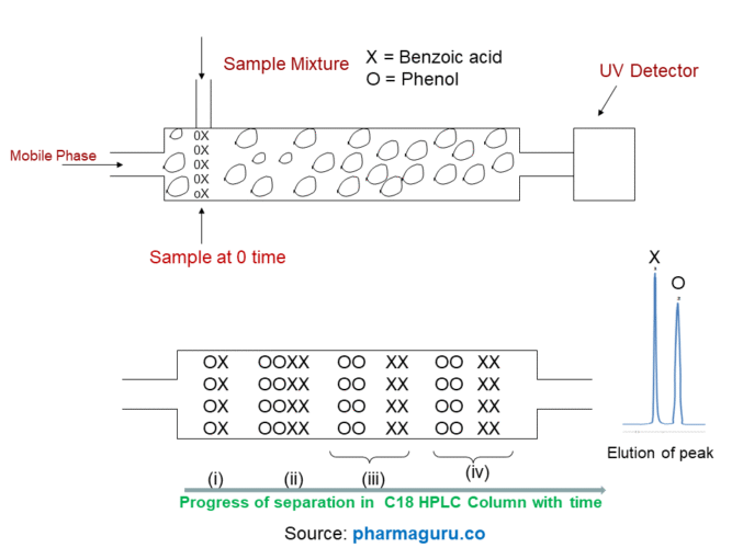 HPLC Column: Types, Working Principles, Expert Tips, and Best Practices ...